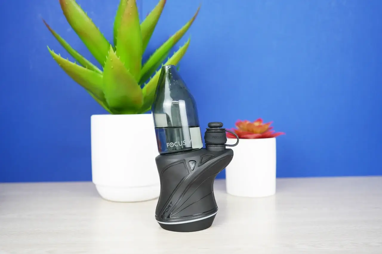 Focus V Carta Sport Review - Tools420 USA